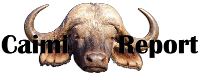 Kanalübersicht Marco Caimi - Caimi-Report